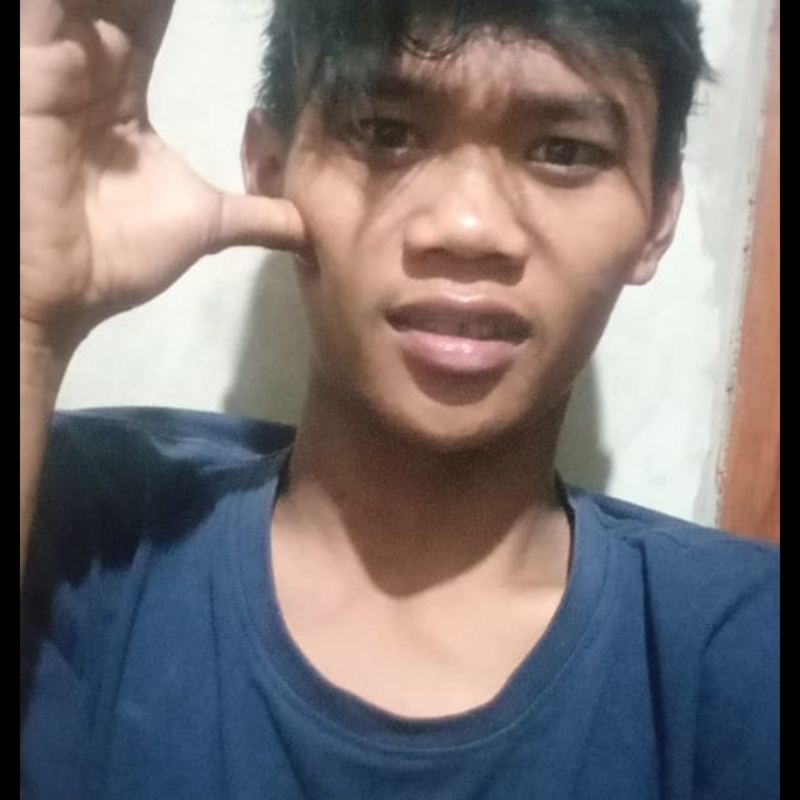 Website Pernikahan Muhammad Fikri Husain dan Diana Puspita